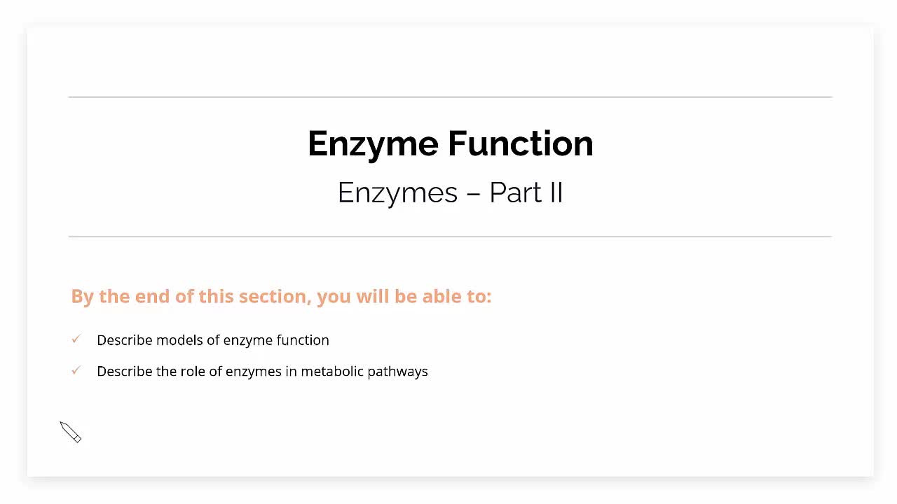 What Is Feed Forward Activation Of Enzymes With Example